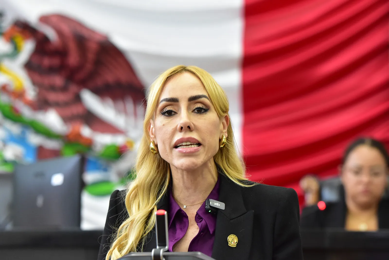 Brenda Ríos responde a Loera: lo acusa de misoginia, traición a Morena ...